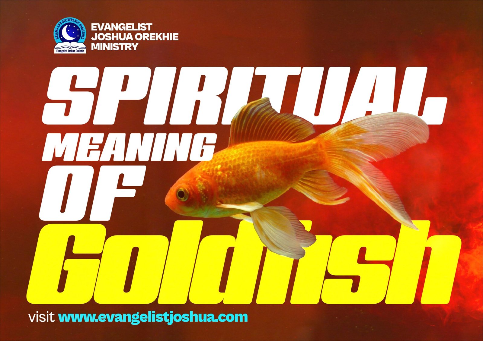 Spiritual Meaning Of Goldfish-Evangelistjoshua.com