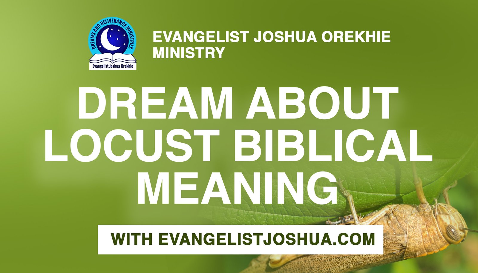 Dream Meaning Of Locust-Evangelistjoshua.com