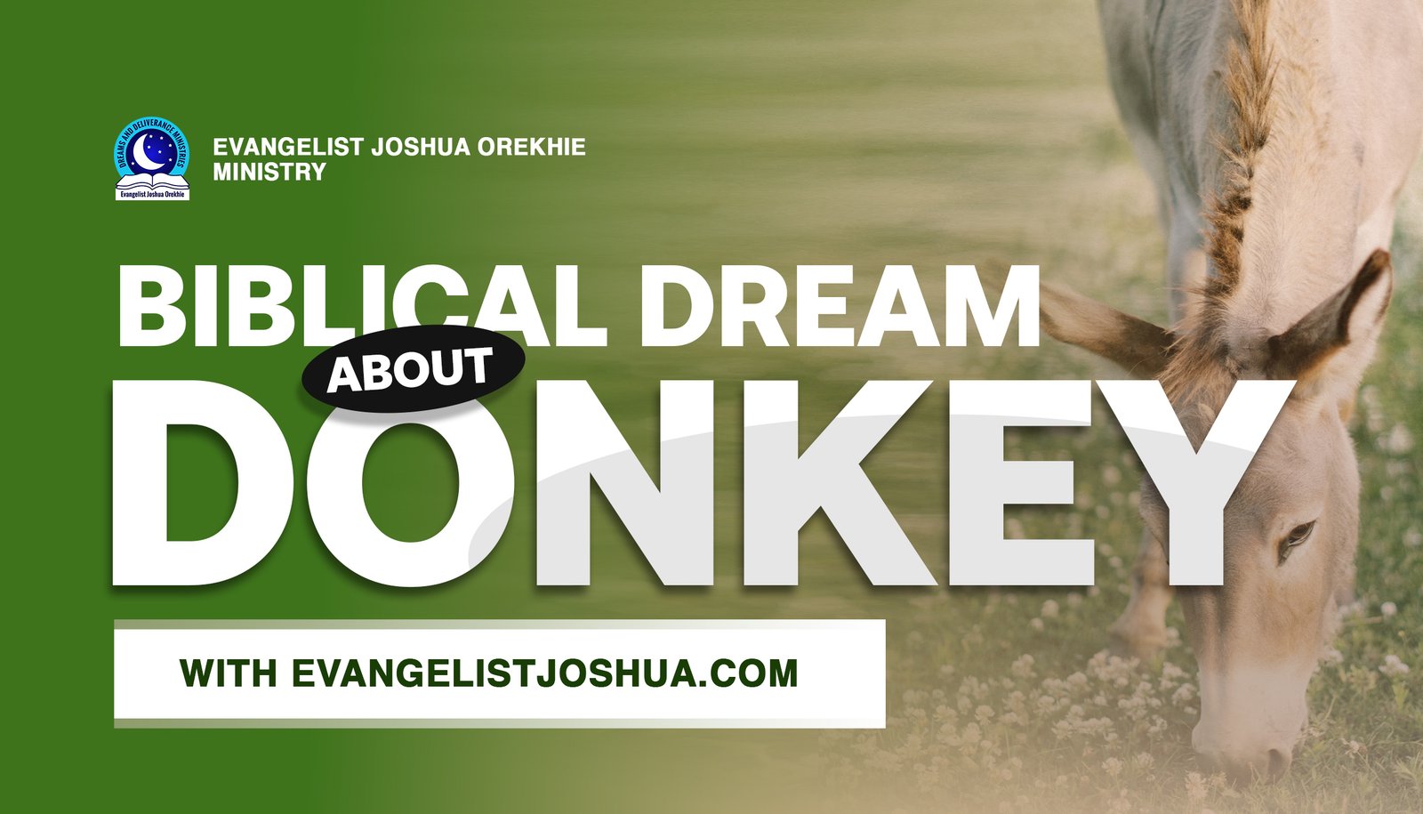 Dream Meaning About Donkey-Evangelistjoshua.com