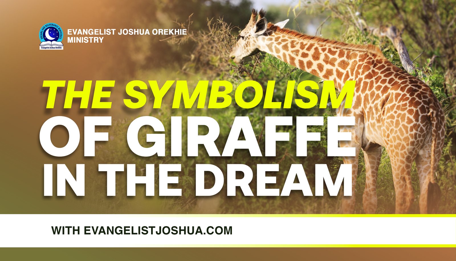 The Meaning Of Giraffe In Dream-Evangelistjoshua.com