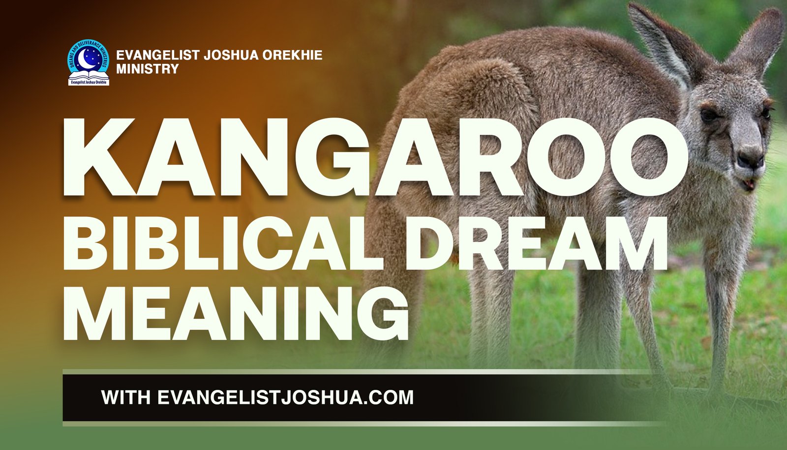 Kangaroo Dream Meaning-Evangelistjoshua.com