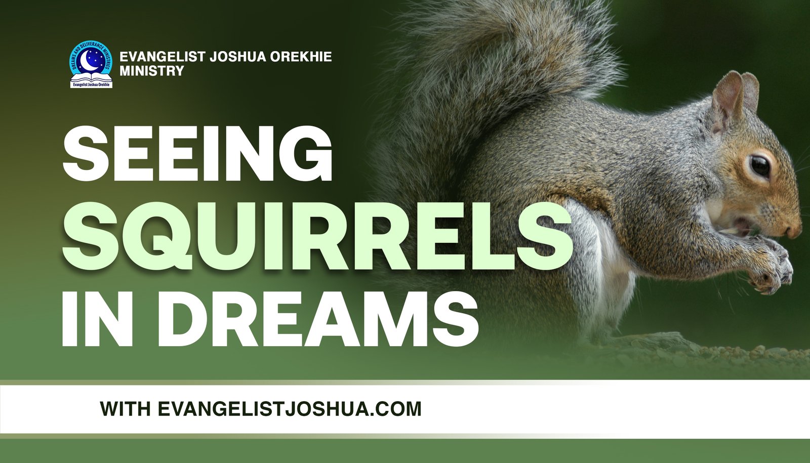Meaning Of Squirrel In The Dream-Evangelistjoshua.com