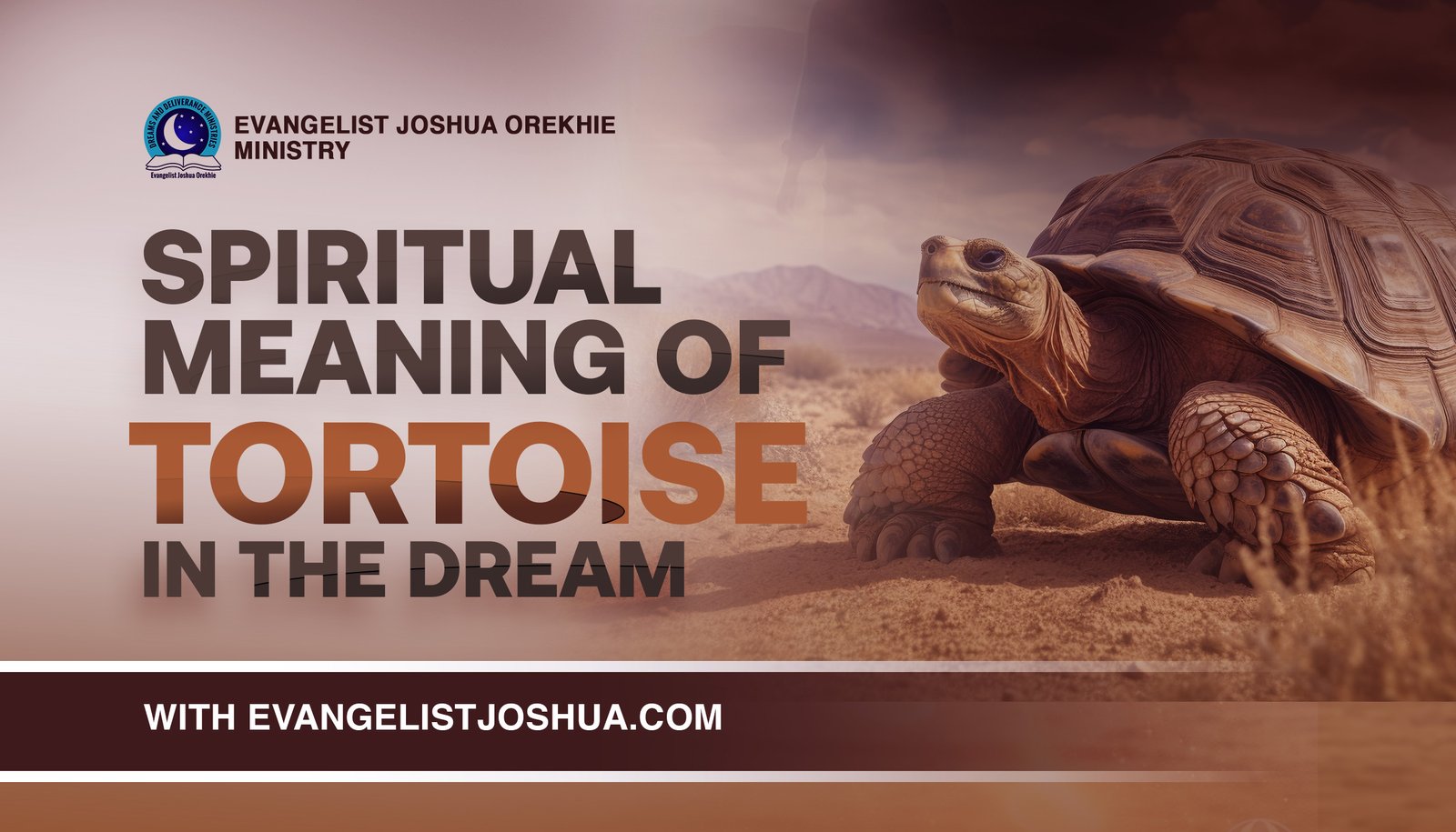 Dream About Tortoise-Evangelistjoshua.com