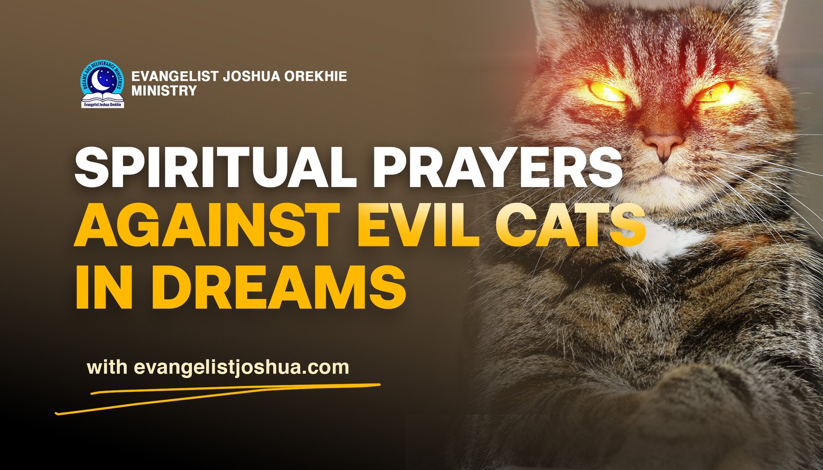 Dream About Evil Cat-Evangelistjoshua.com