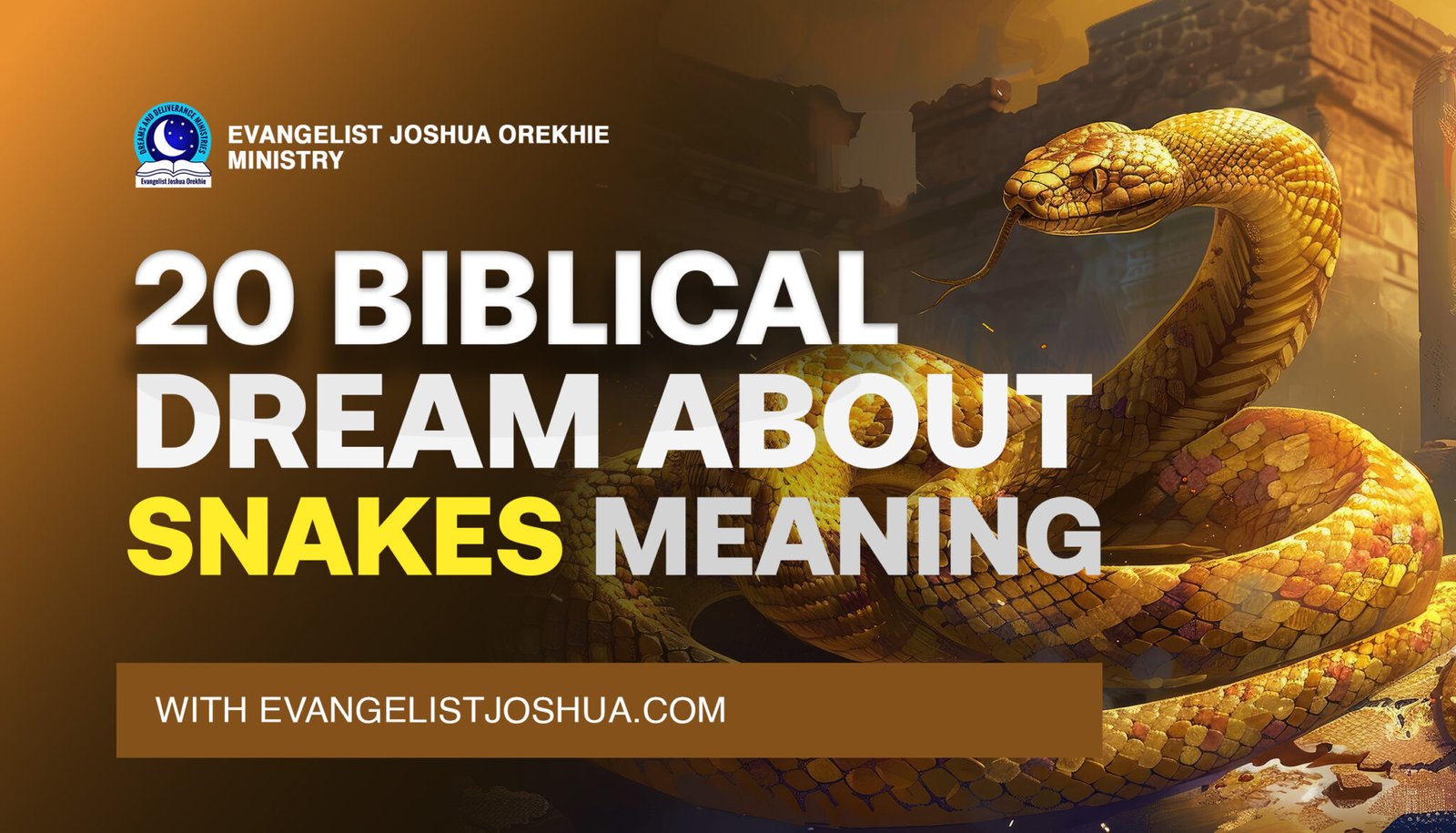 Dream Meaning About Snakes-Evangelistjoshua.com