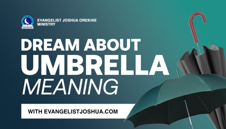 Dream Meaning Of Umbrella -Evangelistjoshua.com