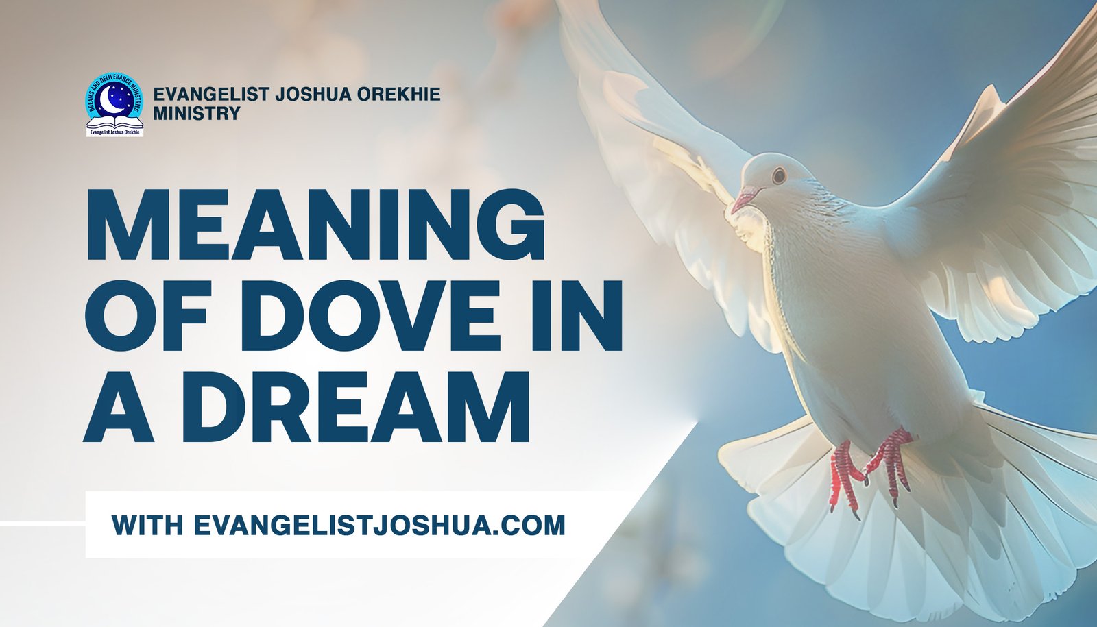 Spiritual Dream Meaning Of Dove-Evangelistjoshua.com