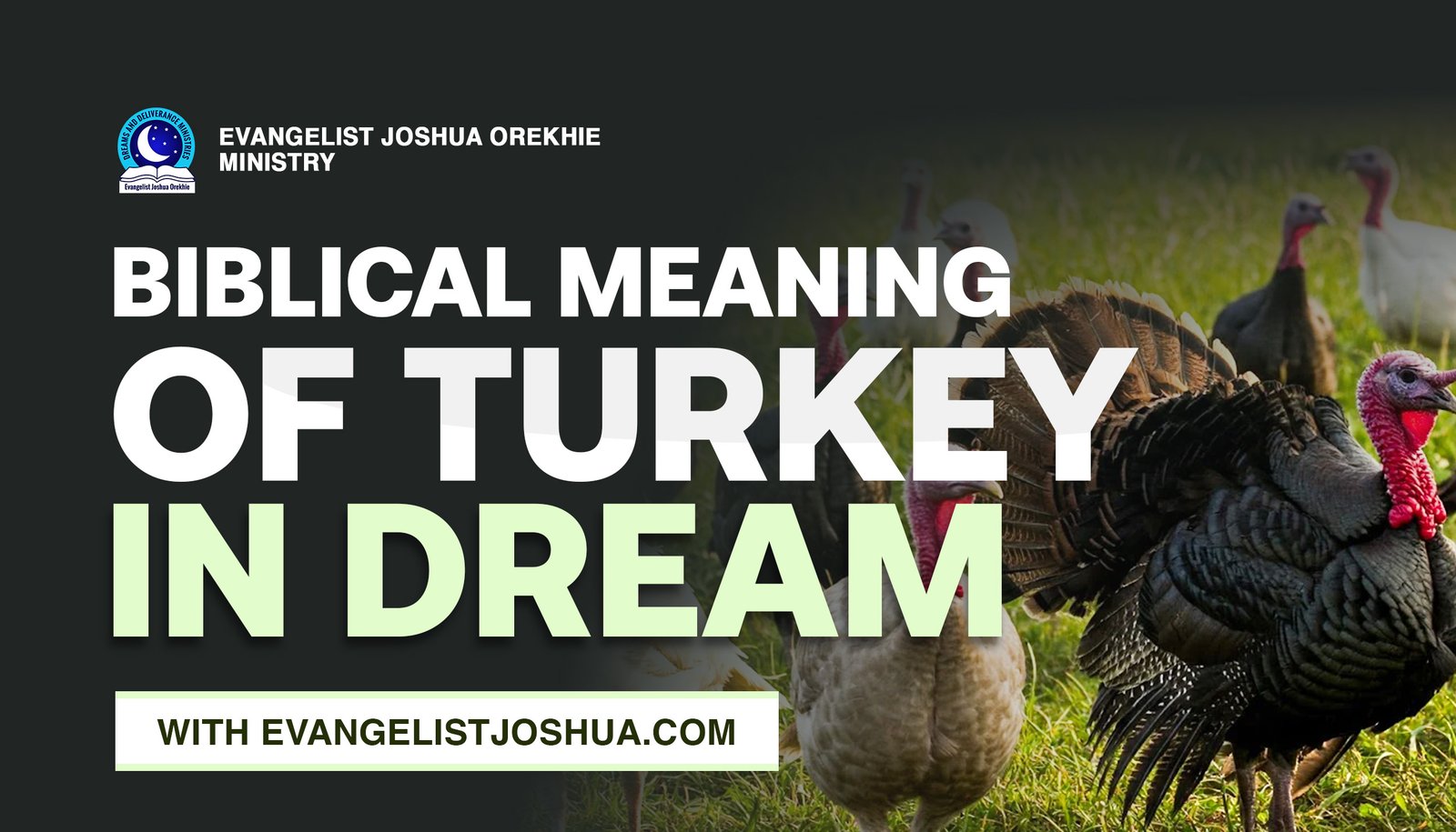 Dream Meaning Of Turkey-Evangelistjoshua.com