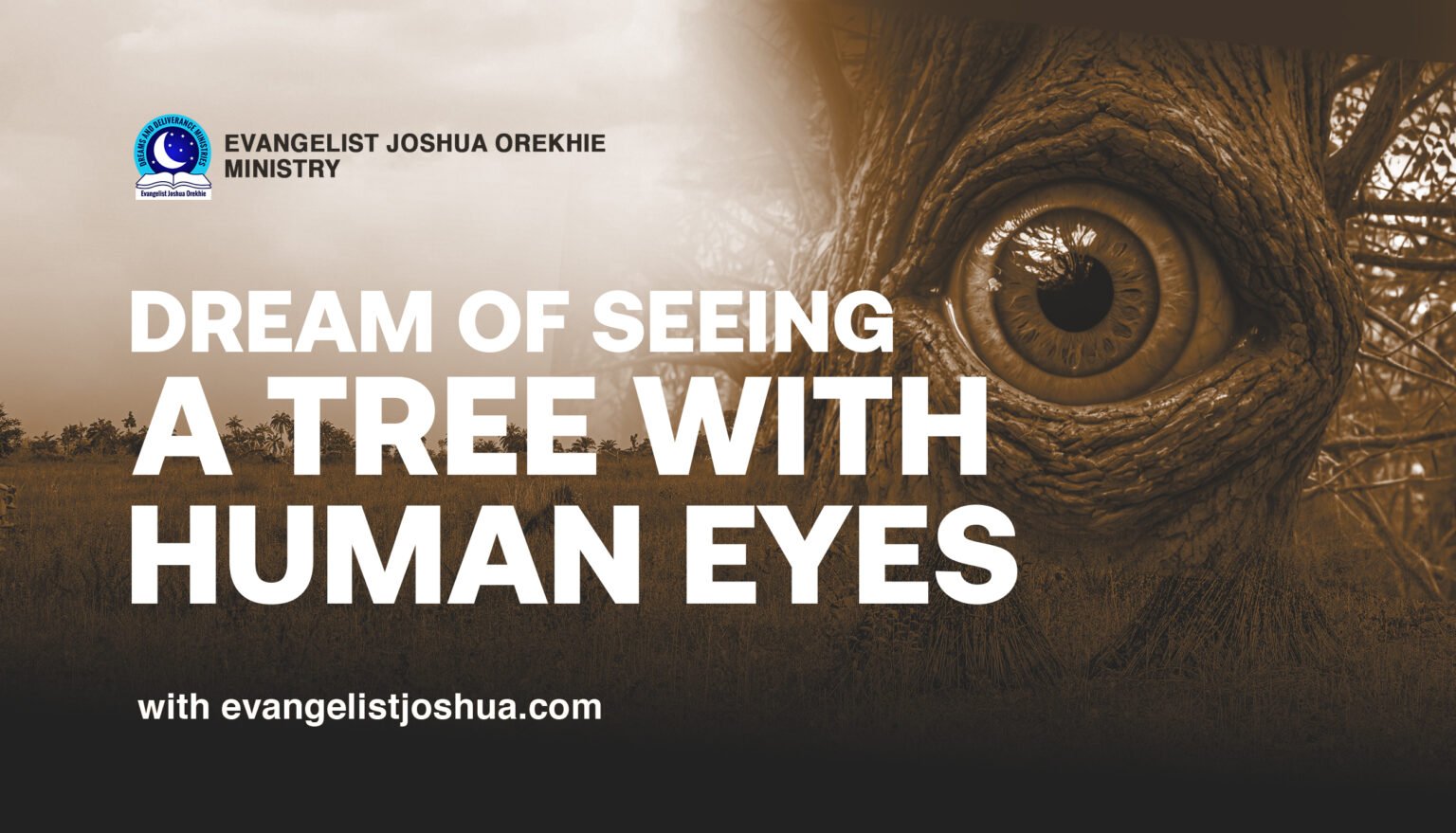 A Tree With Human Eyes In The Dream-Evangelistjoshua.com