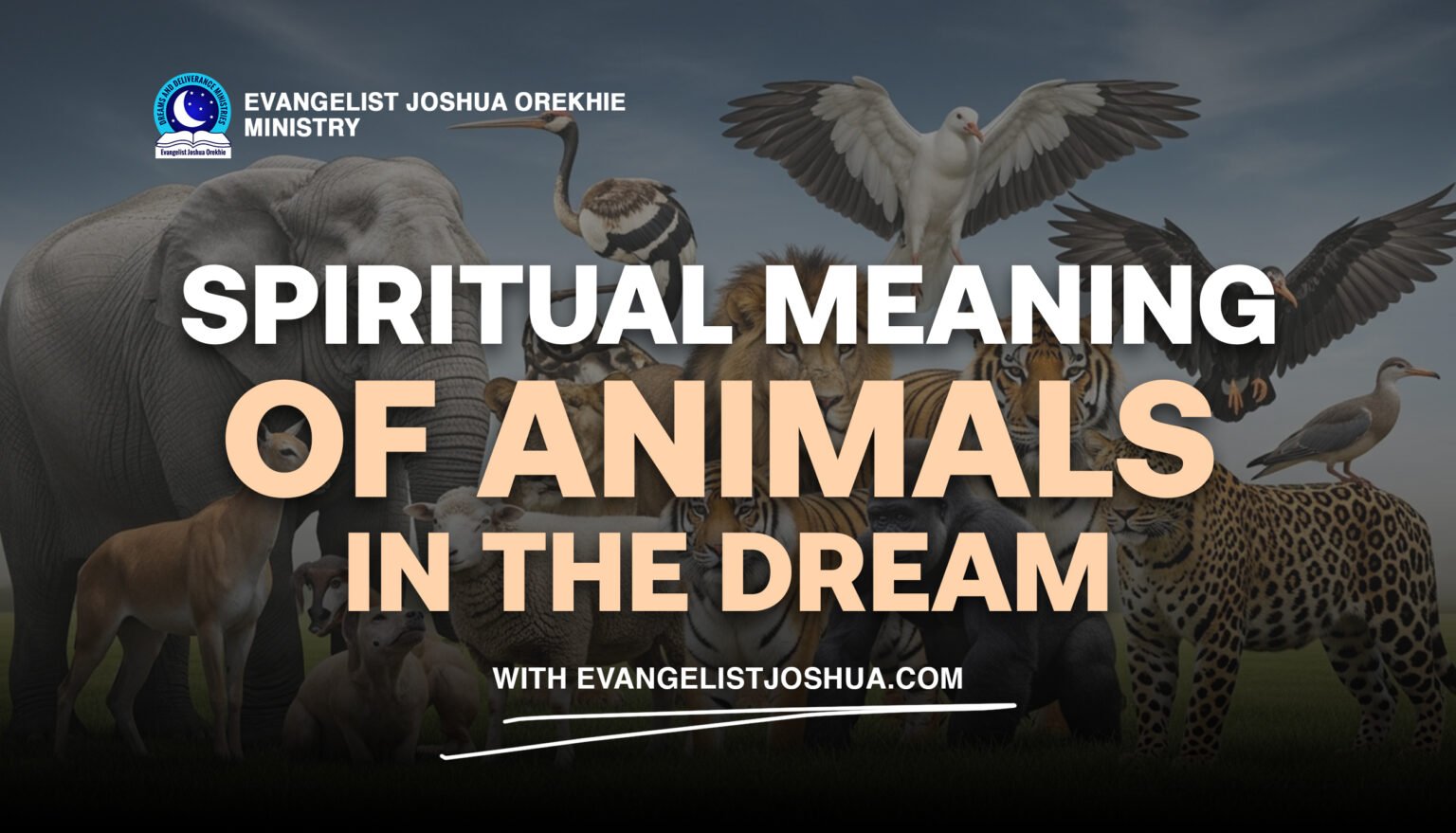 Dream Meaning Of Animals-Evangelistjoshua.com