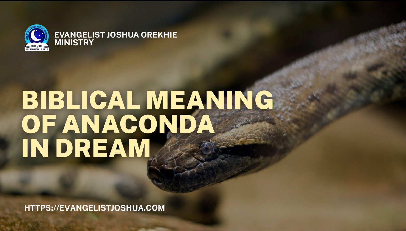 Spiritual Dream Meaning Of Anaconda-Evangelistjoshua.com