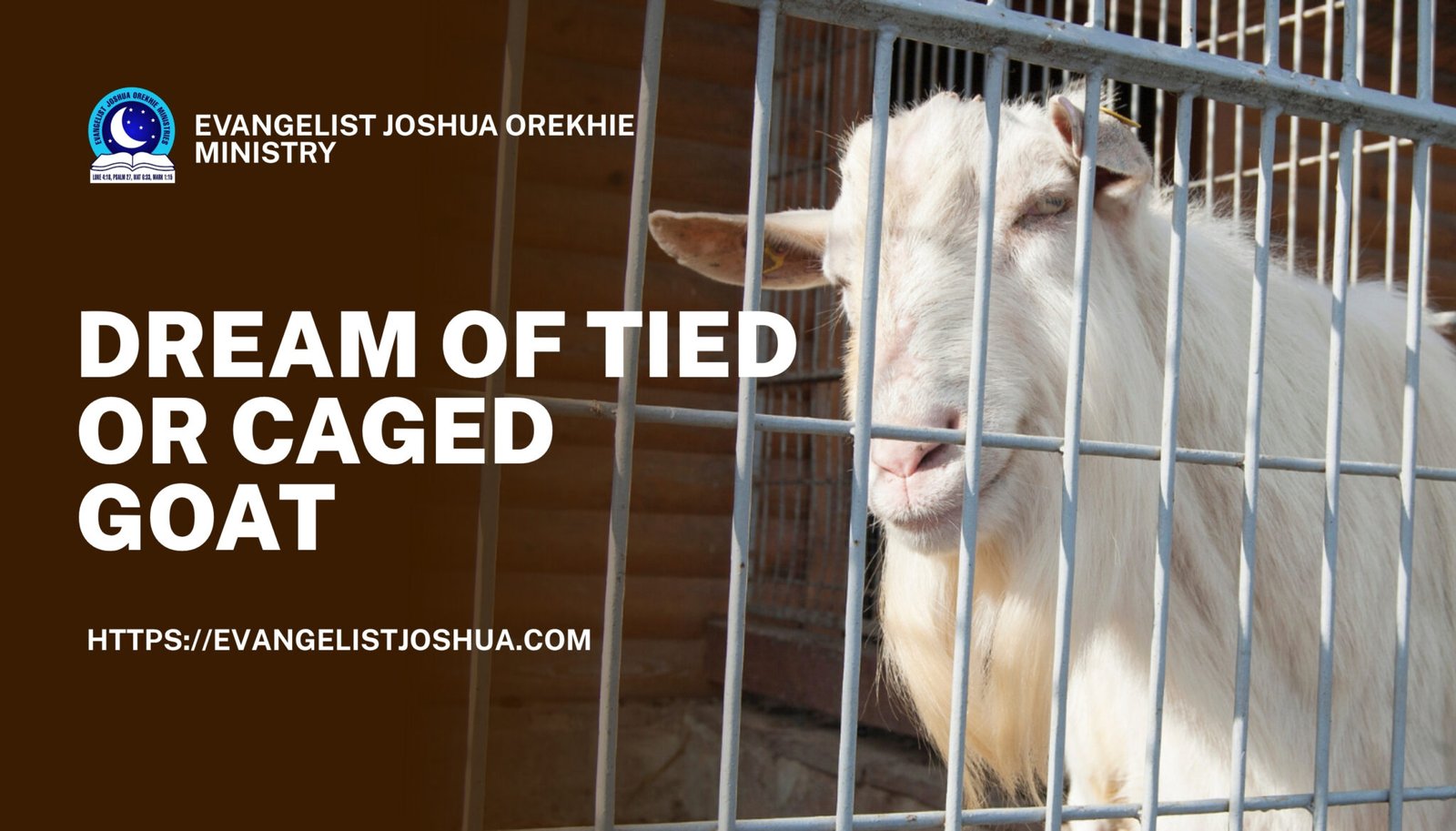 Dream Meaning Of Tied Or Caged Goat-Evangelistjoshua.com