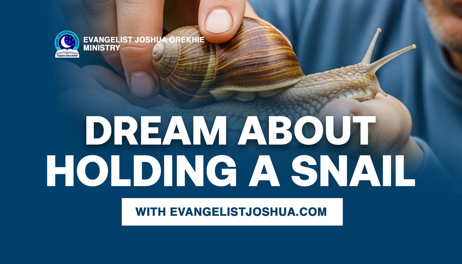 Dream About Holding A Snail-Evangelistjoshua.com