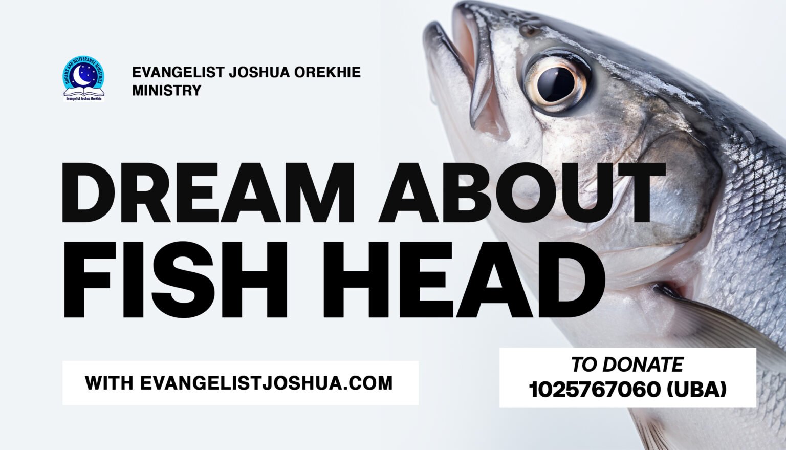 Dream Meaning Of Fish Head-Evangelistjoshua.com