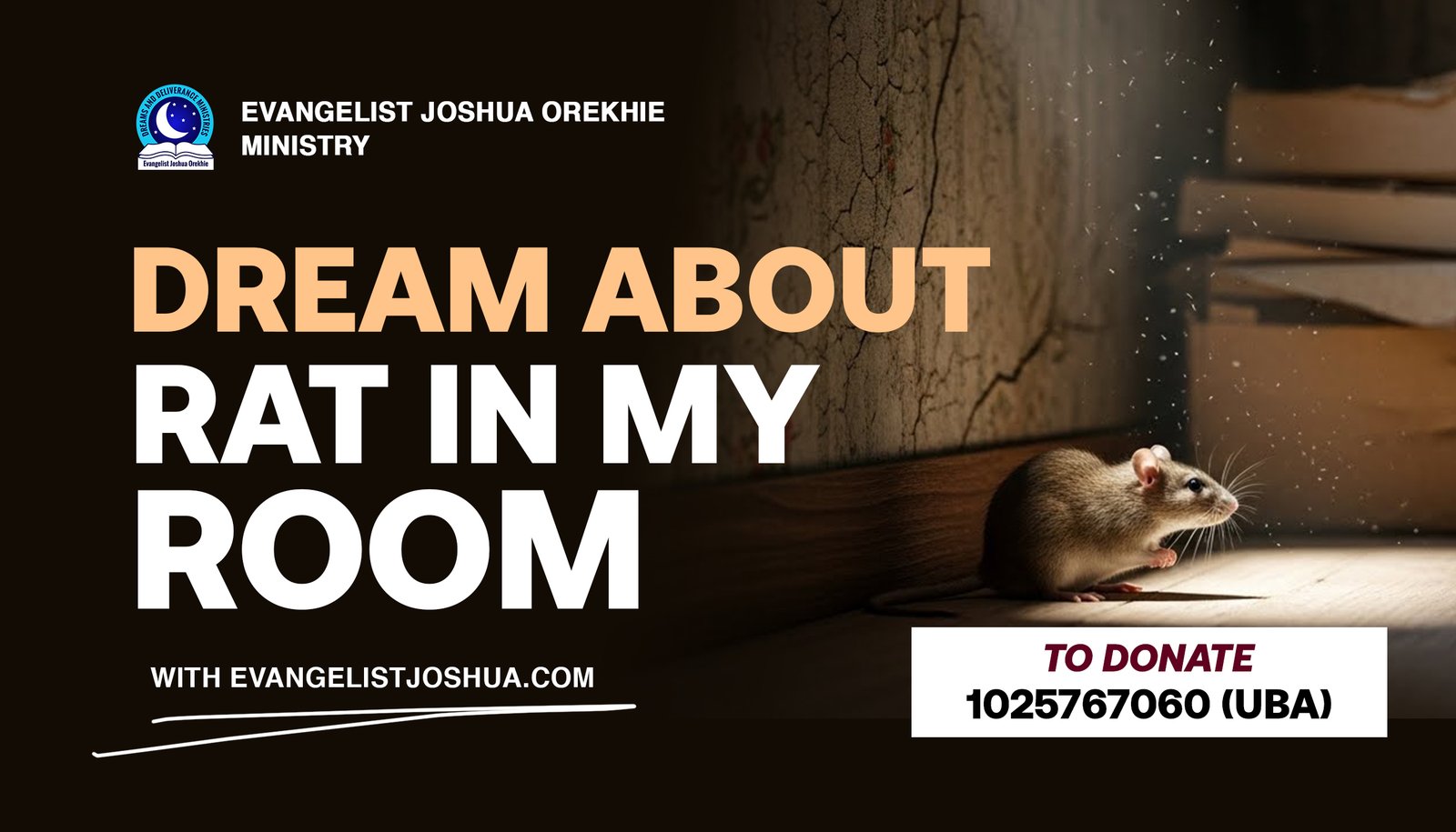 Dream Meaning Of Rat In My Room-Evangelistjoshua.com