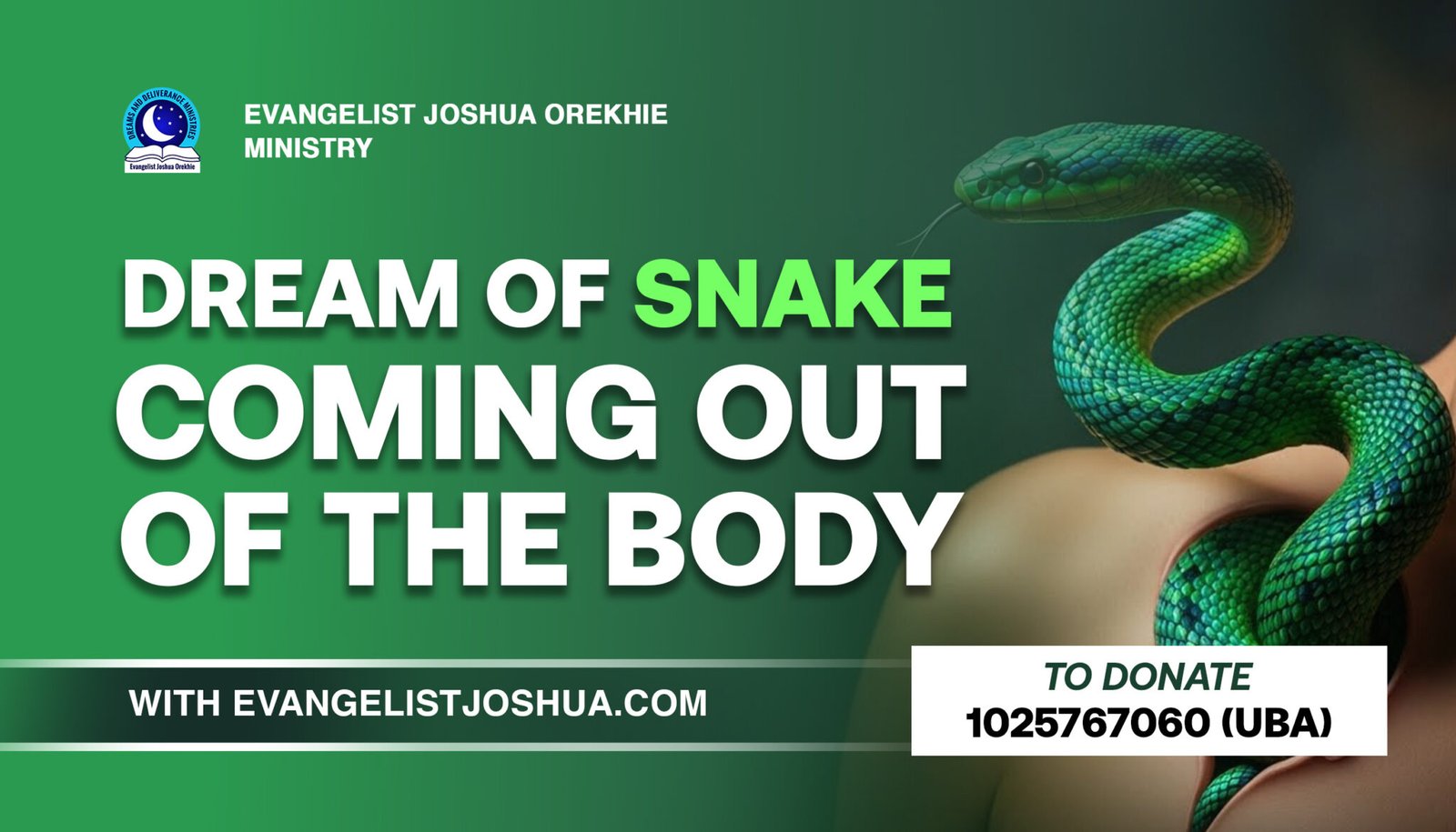 Dream Of Snake Coming Out Of The Body-Evangelistjoshua.com