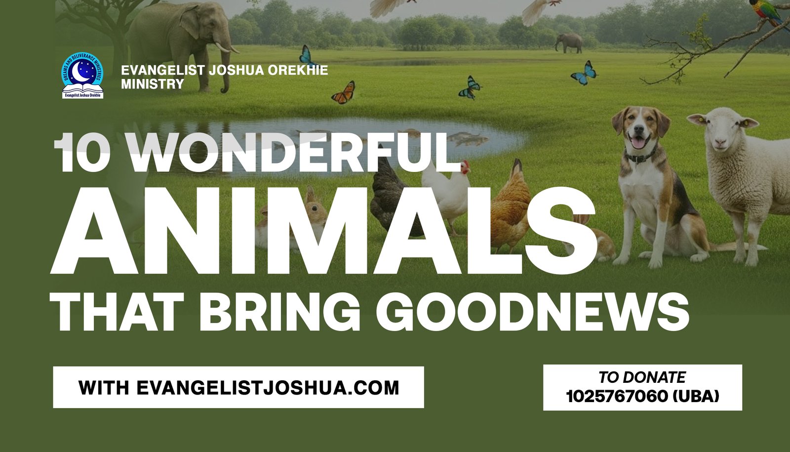 10 Wonderful Animals That Bring Goodnews-Evangelistjoshua.com