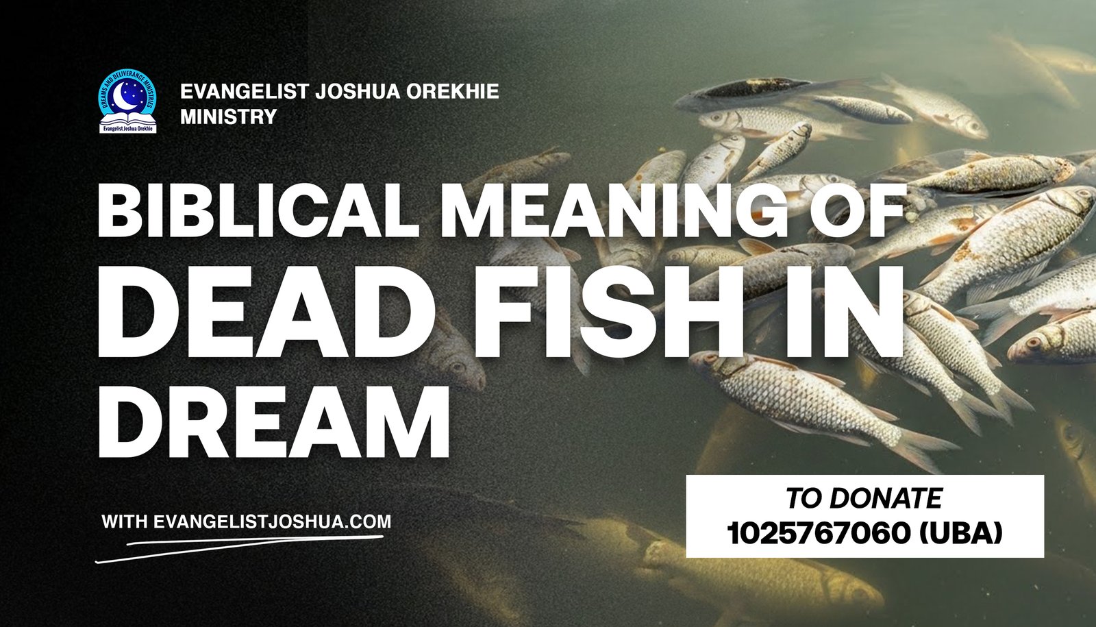 Biblical Meaning Of Dead Fish In Dreams-Evangelistjoshua.com
