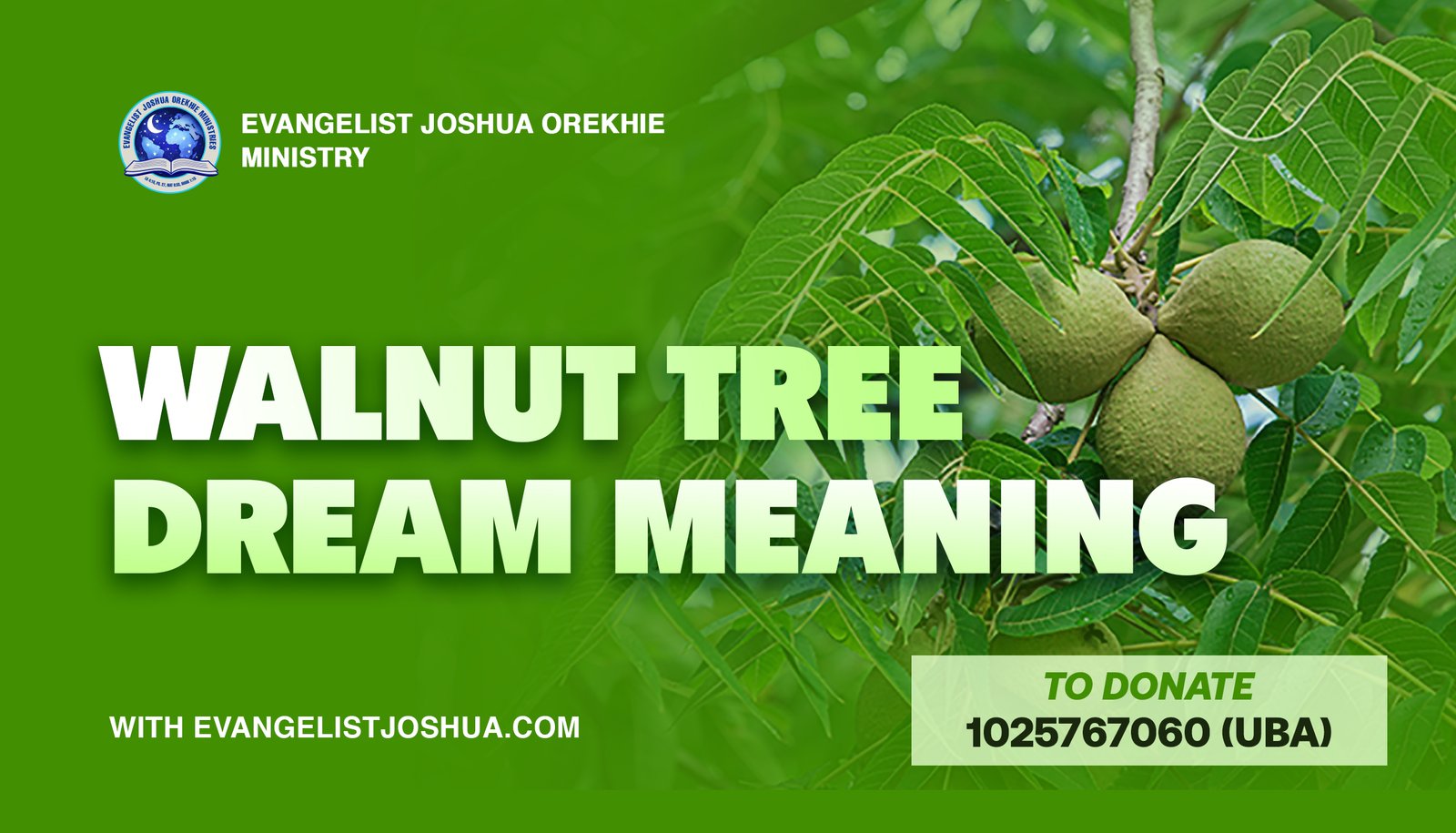 Walnut Tree Dream Meaning-Evangelistjoshua.com