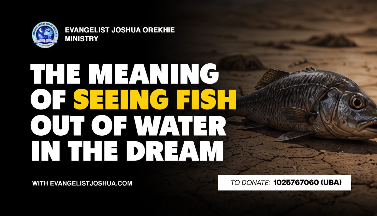 The Meaning Of Seeing Fish Out Of Water In The Dream